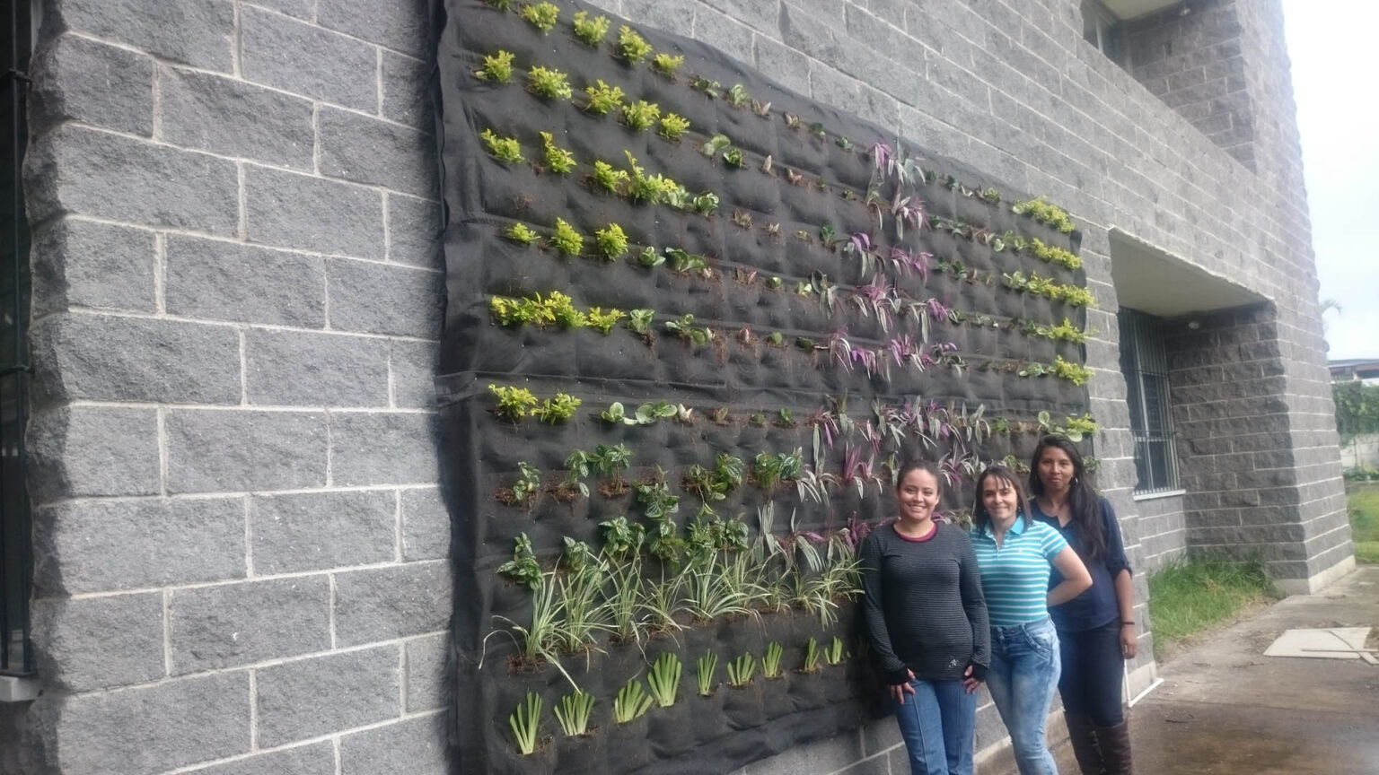 Jardines Verticales Naturales - Ecojardines