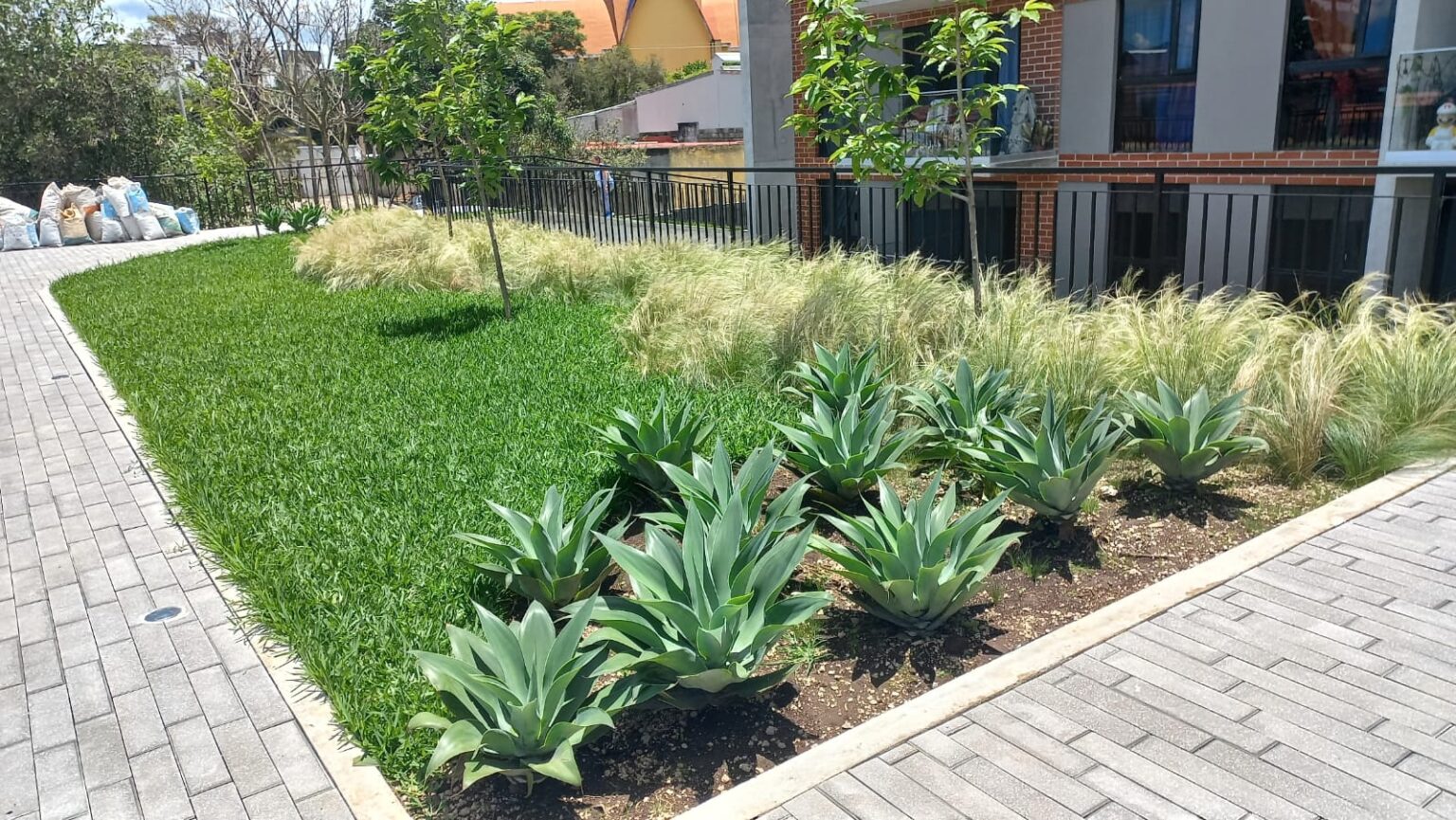 Diseño Profesional de Jardines - Ecojardines